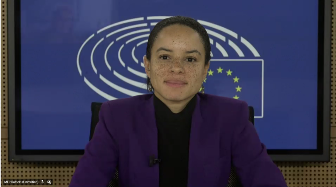 Webinar International Women's Day with MEP Samira Rafaela | AmCham