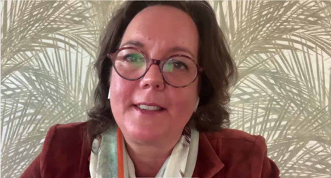 Annual General Meeting 2021 & Keynote by Minister Tamara van Ark | AmCham